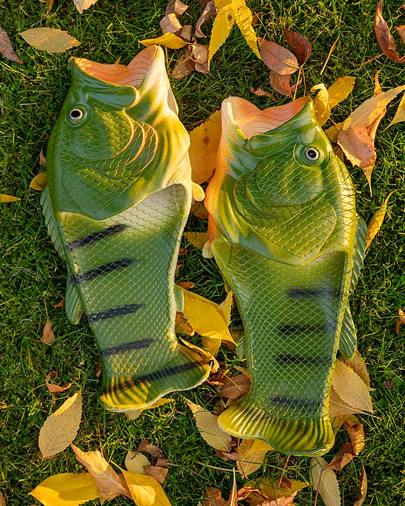 Fun Fish Slides – SPITGAN Emporium